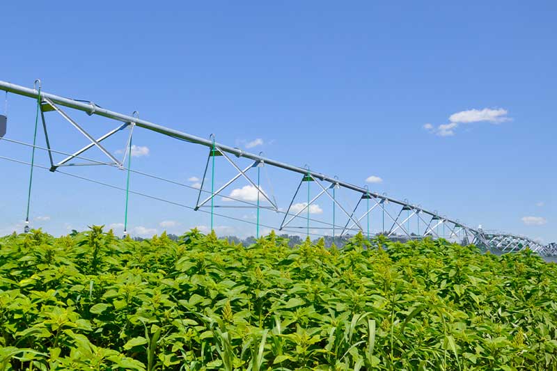 Irrigation systems for agriculture - Variant Group in Romania and Moldova